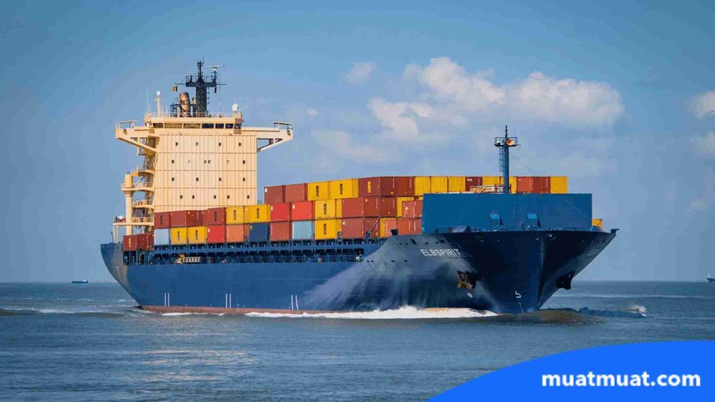 Apa Itu Vessel? Pengertian dan 7 Fakta Menariknya! - MuatMuat Blog