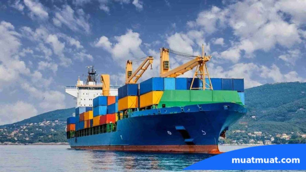 Apa Itu Vessel? Pengertian dan 7 Fakta Menariknya! - MuatMuat Blog