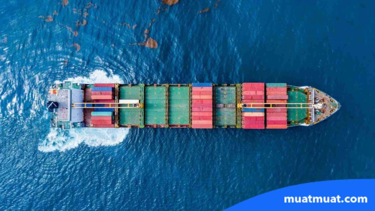 Apa Itu Vessel? Pengertian dan 7 Fakta Menariknya! - MuatMuat Blog