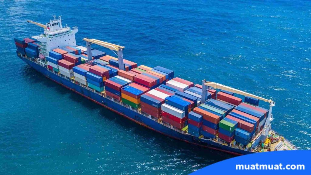 Apa Itu Vessel? Pengertian dan 7 Fakta Menariknya! - MuatMuat Blog