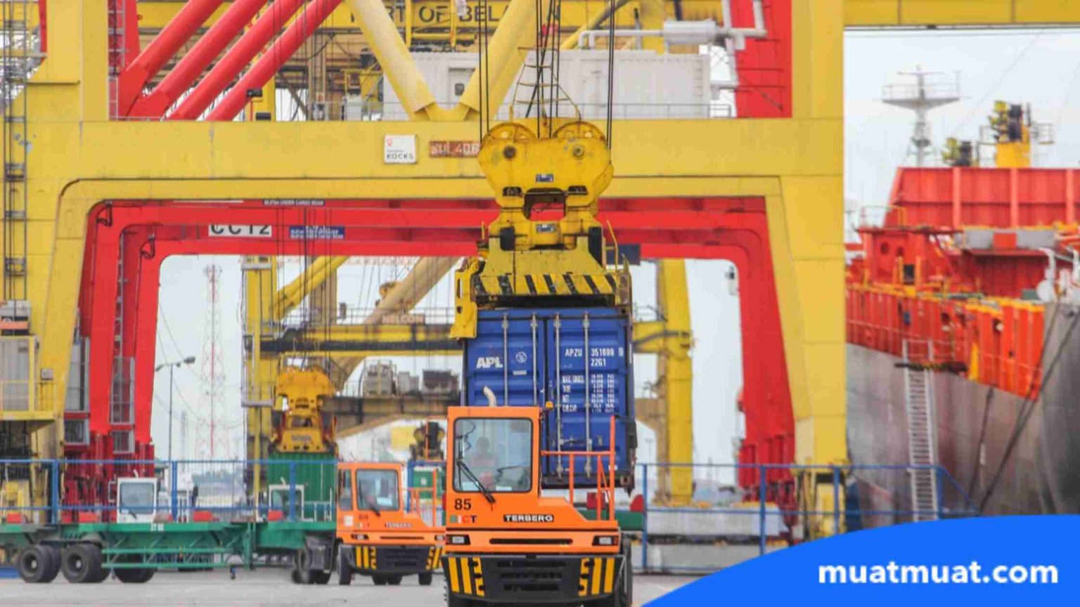 Apa Itu Stevedoring? 7 Jenis Stevedoring dan Contoh Penerapanya ...