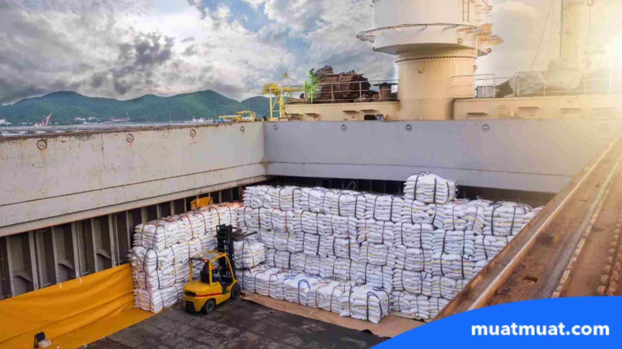Apa Itu Break Bulk Cargo? Panduan Lengkap untuk Pengiriman Barang Besar - MuatMuat Blog