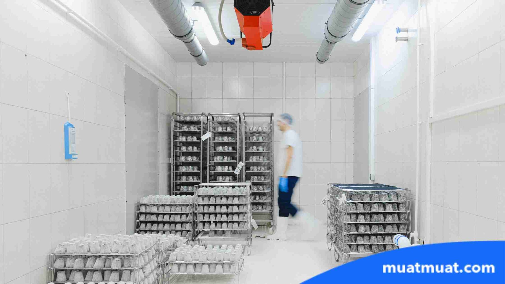 Apa Itu Cold Storage? Bedah Tuntas Semua Tentang Gudang Pendingin Di ...