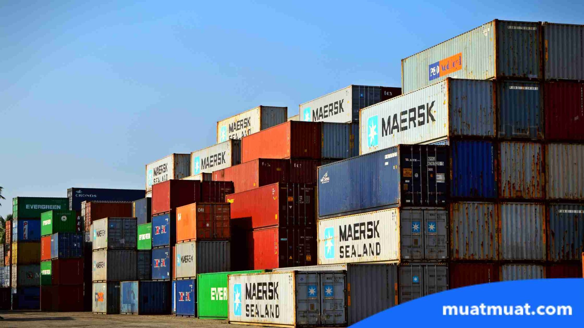 Ukuran Container: Panduan Lengkap untuk Pengiriman Barang - MuatMuat Blog
