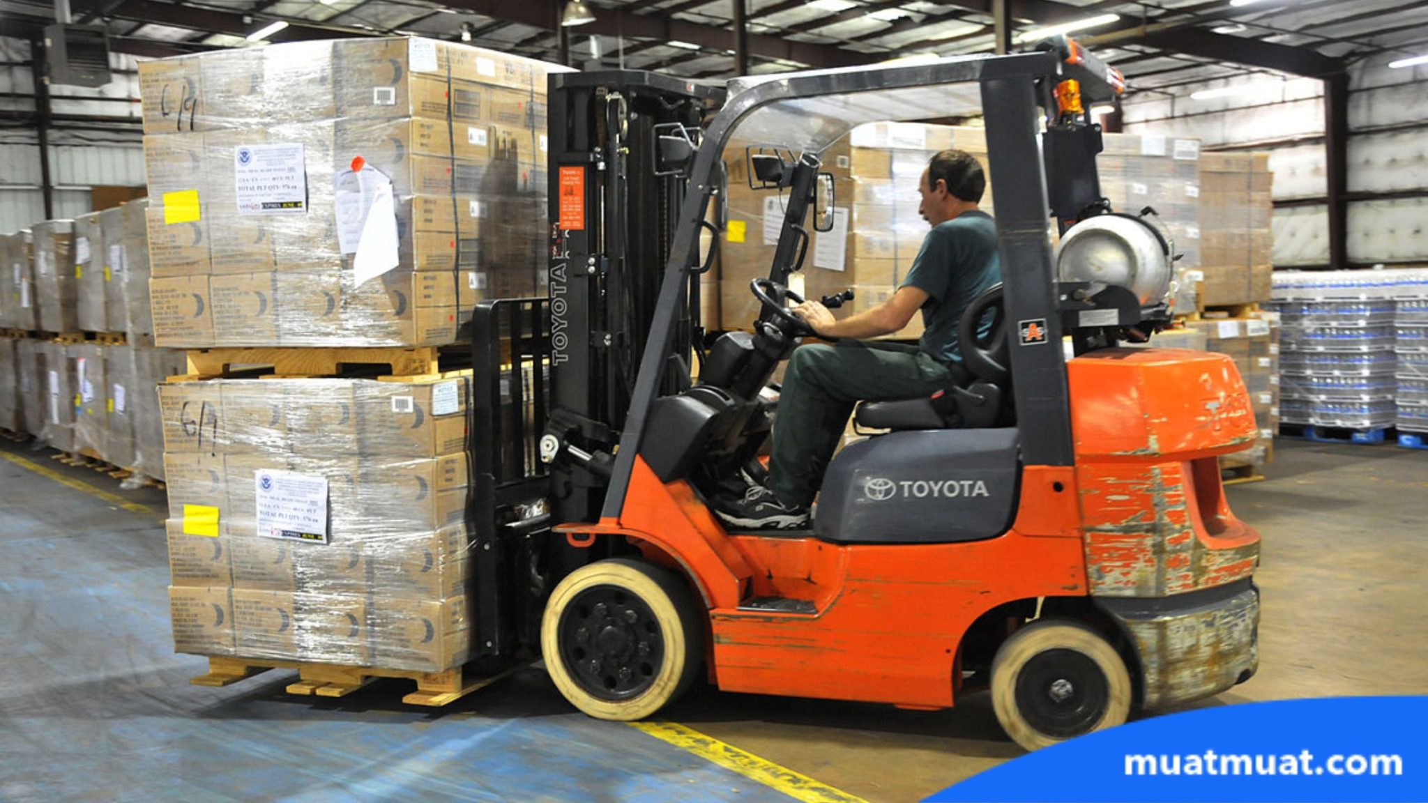 Apa Itu Material Handling? Panduan Lengkap Kunci Efisiensi Operasional ...