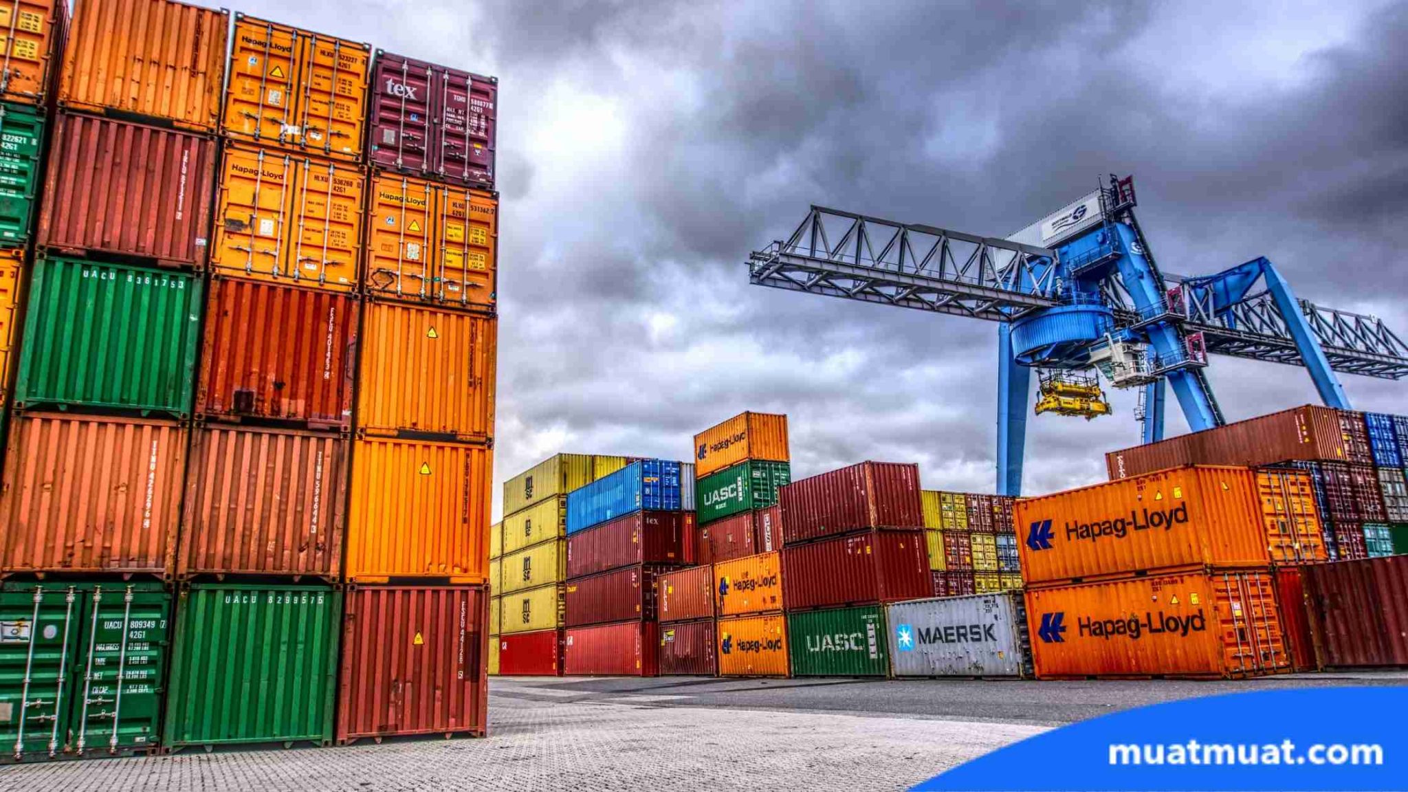 Apa Itu EIR Container? Panduan Lengkap Memahami Dokumen Krusial dalam ...