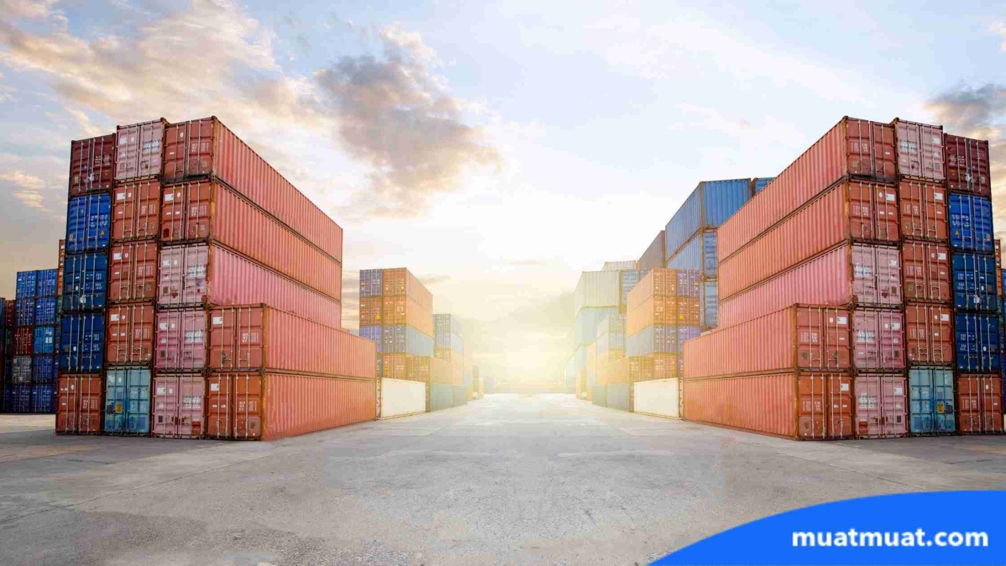 Apa Itu Container Yard? Memahami Jantung Logistik Pelabuhan - MuatMuat Blog