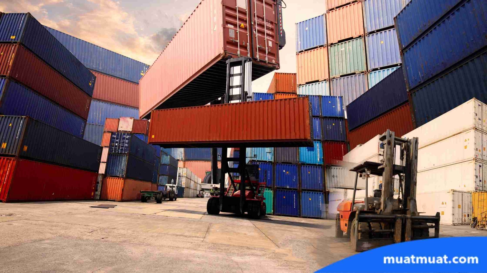 Apa Itu Container Yard? Memahami Jantung Logistik Pelabuhan - MuatMuat Blog