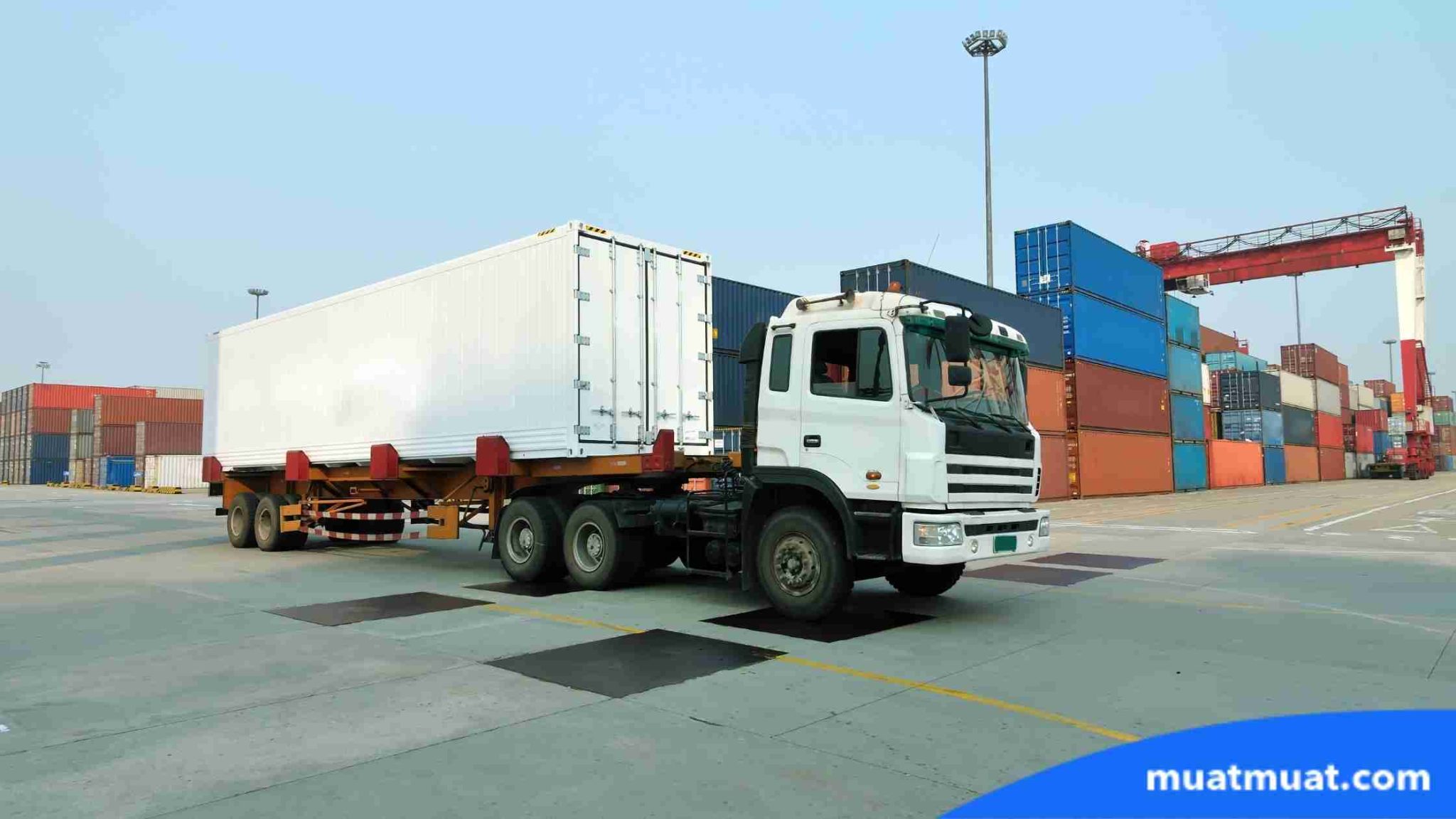 Apa Itu Container Yard? Memahami Jantung Logistik Pelabuhan - MuatMuat Blog