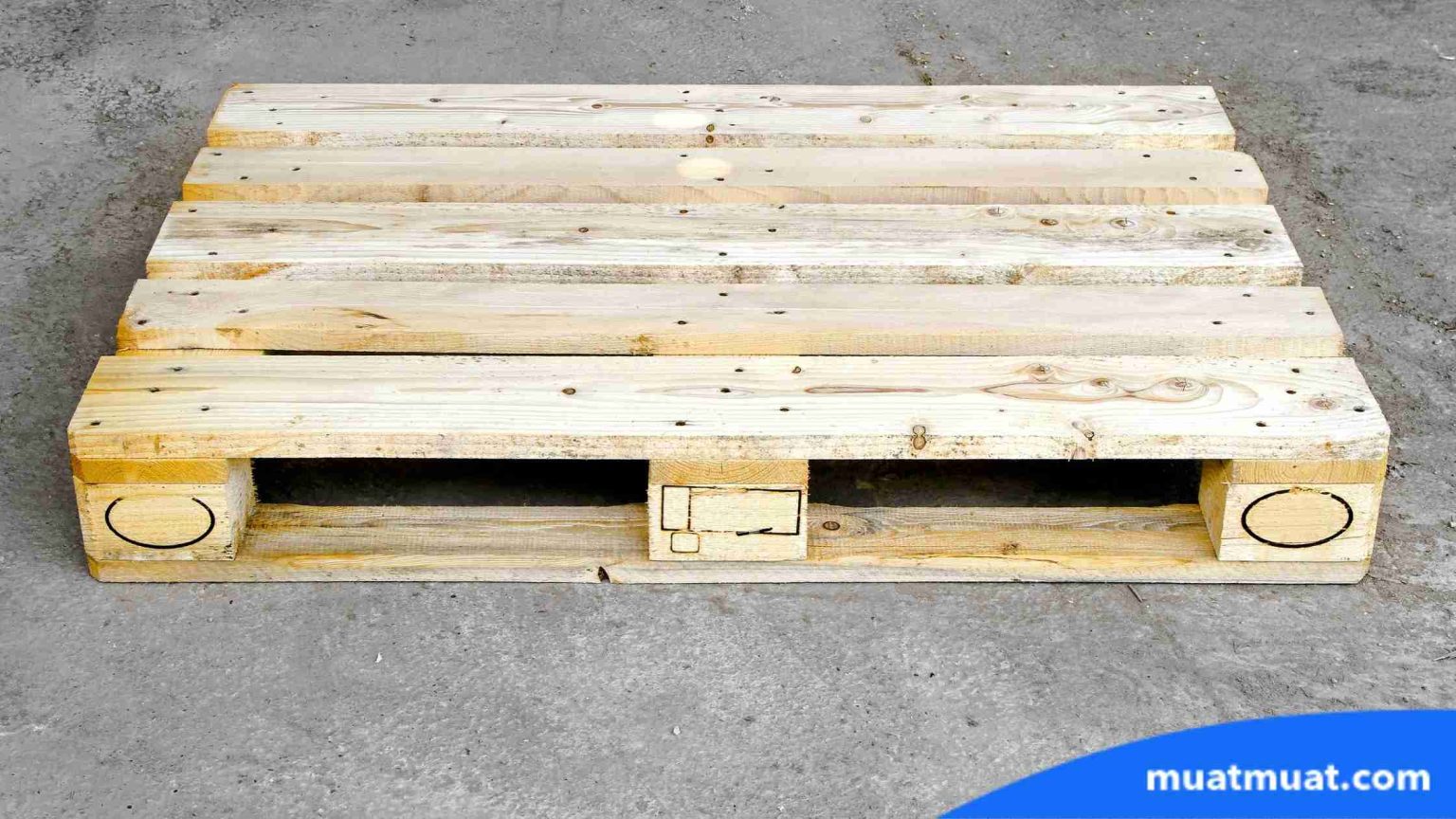 Apa Itu Pallet? Memahami Peran Krusial dalam Logistik Modern - MuatMuat ...