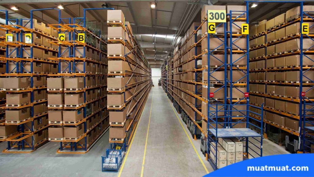 Apa Itu Cold Chain Logistik? Memahami Rantai Dingin dalam Industri ...