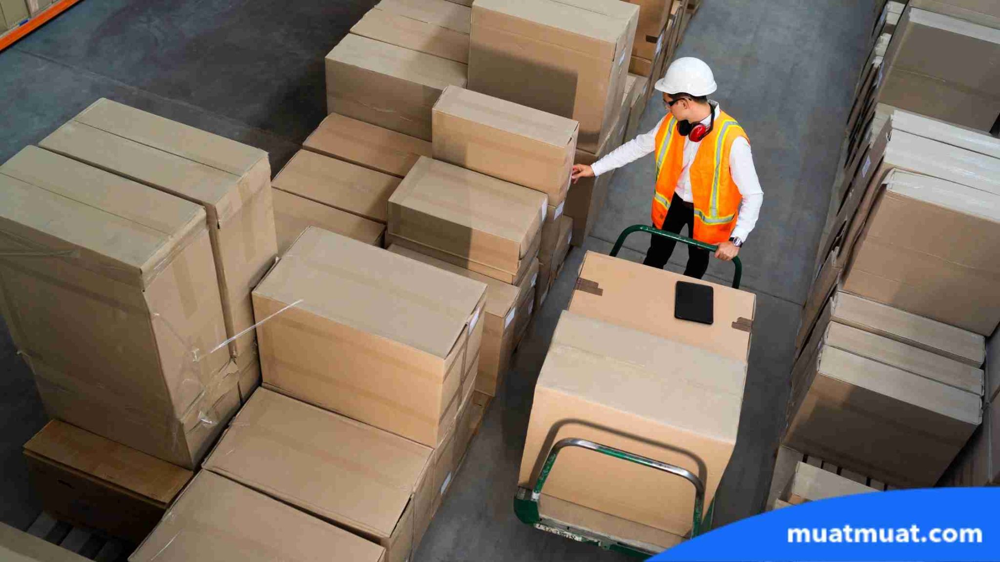 Apa Itu Inbound Logistik? Memahami Jantung Operasi Rantai Pasok Anda ...