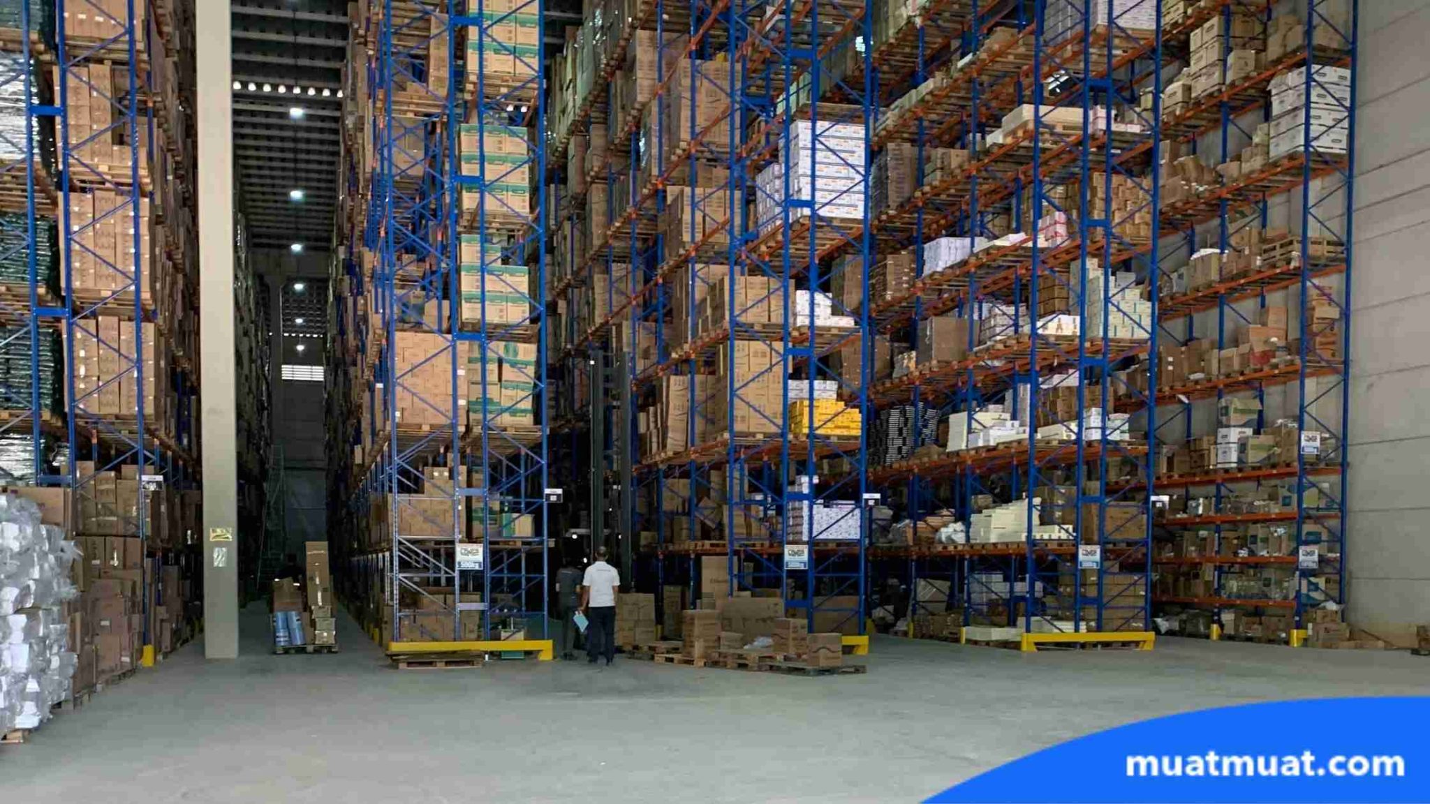 Apa Itu Dry Storage pada Logistik? Penjelasan Lengkap dan Manfaatnya ...