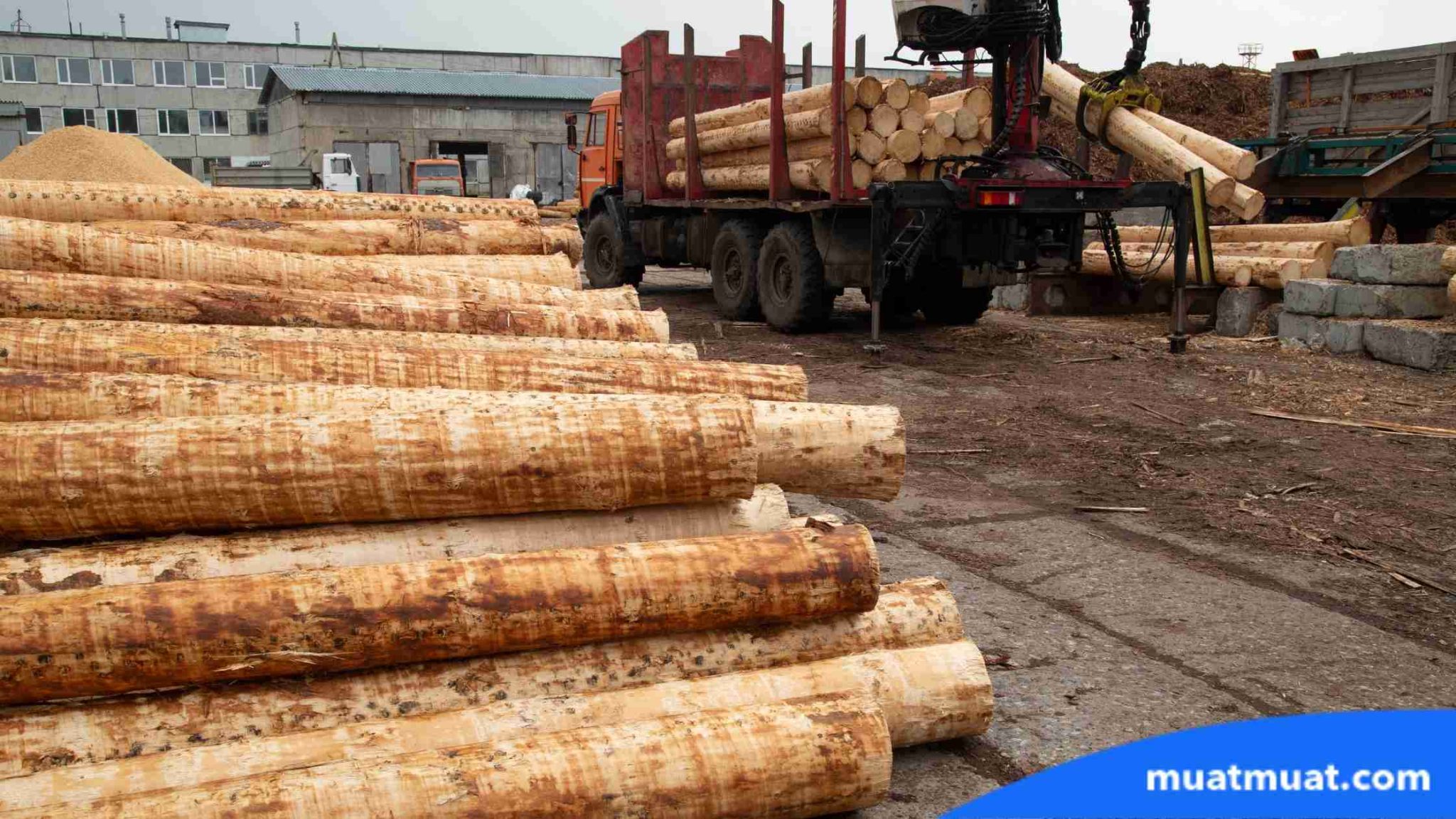 Apa Itu Full Truck Load (FTL)? Pengertian, Perbedaan, dan Contoh di Indonesia - MuatMuat Blog