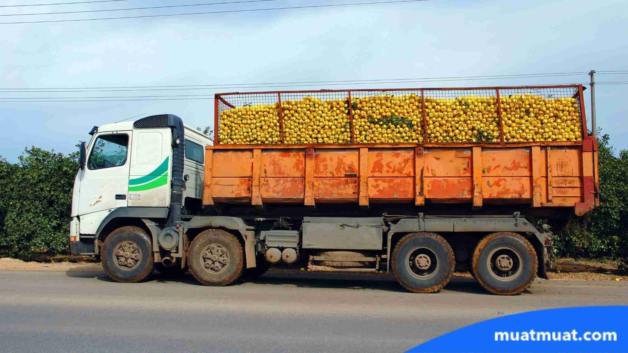 Apa Itu Full Truck Load (FTL)? Pengertian, Perbedaan, dan Contoh di Indonesia - MuatMuat Blog