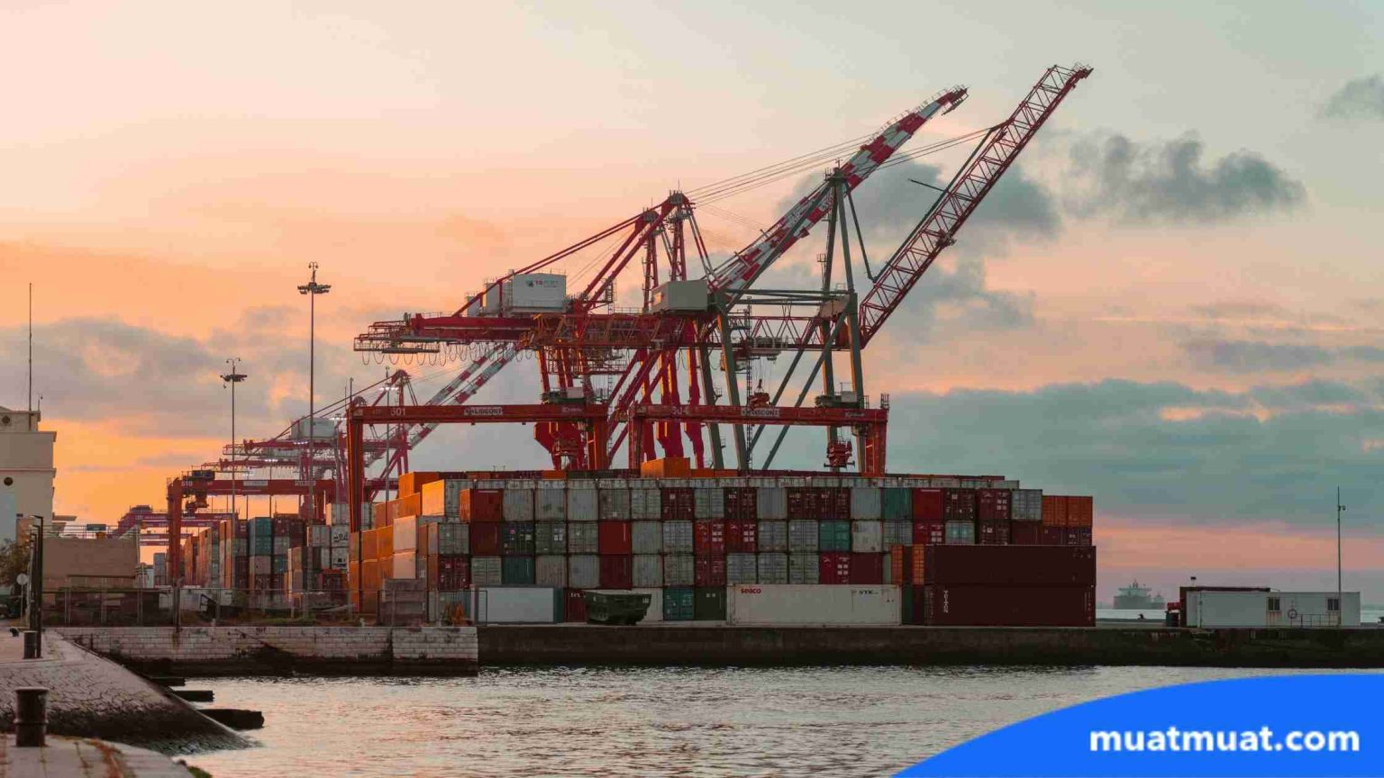 Apa Itu Port of Discharge? Pengertian, Fungsi, dan Contoh dalam ...