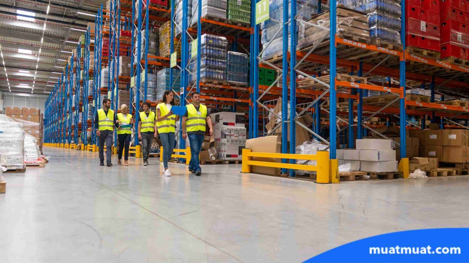 Struktur Warehouse: Penjelasan Lengkap, Contoh Organisasi, dan Sistem ...