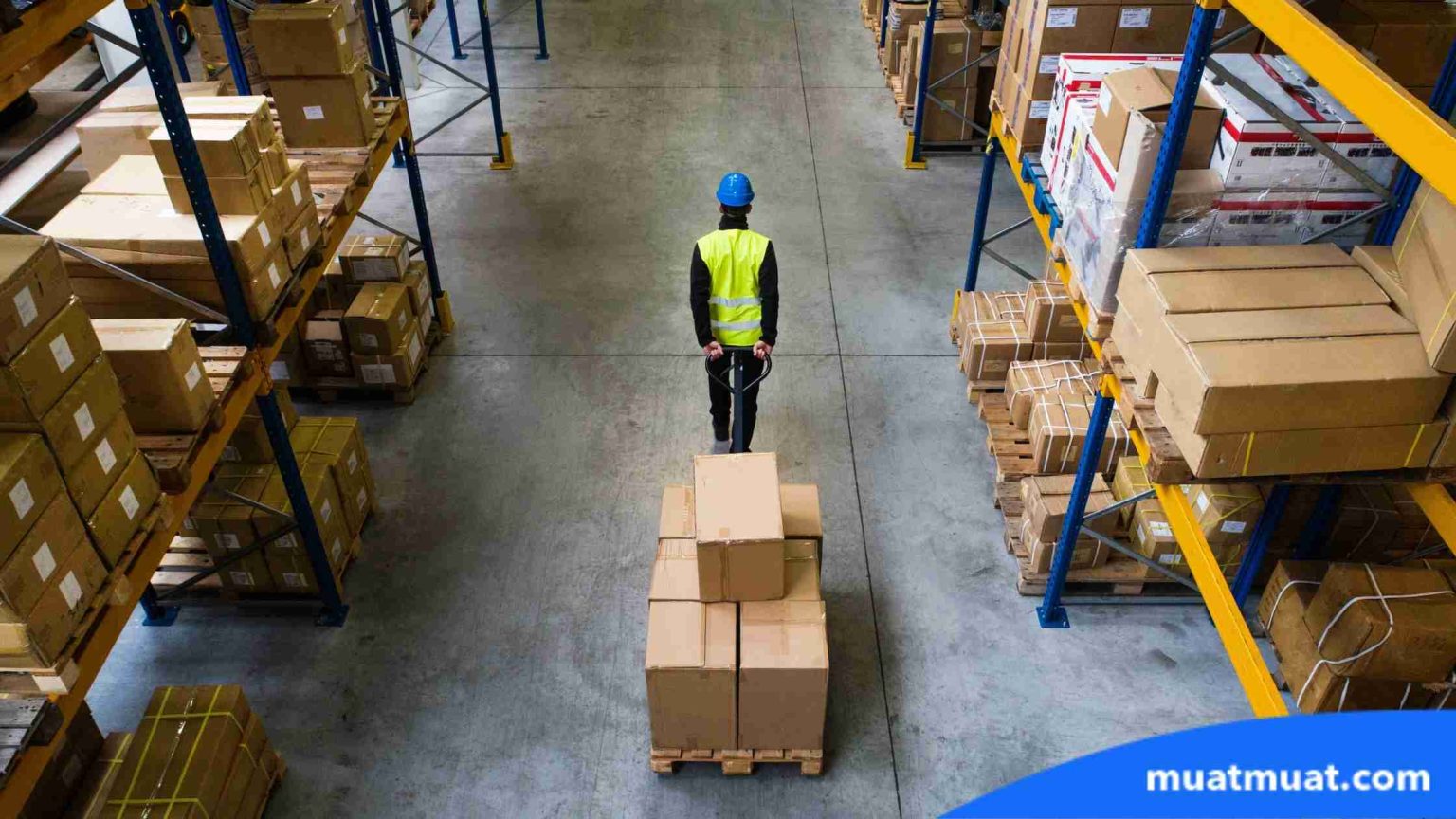 Struktur Warehouse: Penjelasan Lengkap, Contoh Organisasi, dan Sistem ...