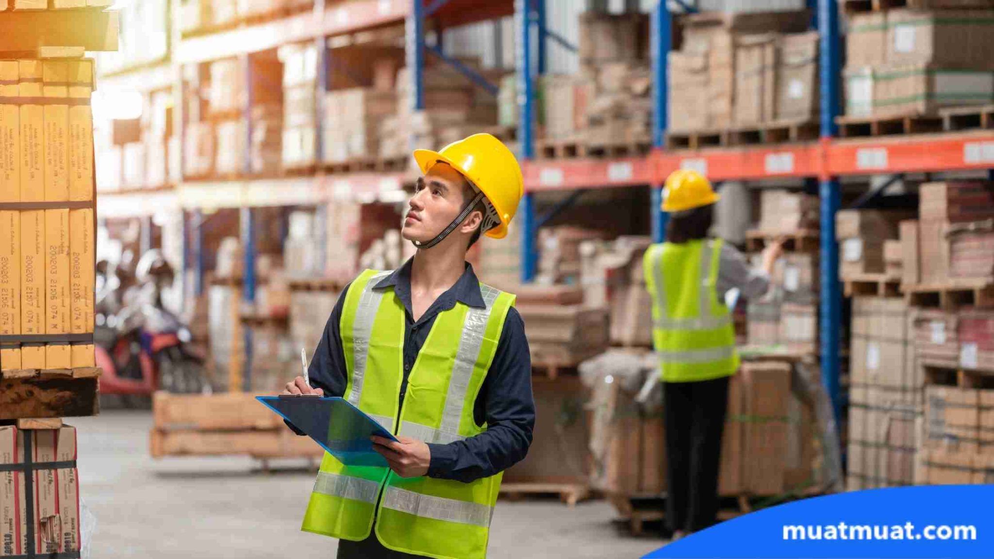 Struktur Warehouse: Penjelasan Lengkap, Contoh Organisasi, dan Sistem ...