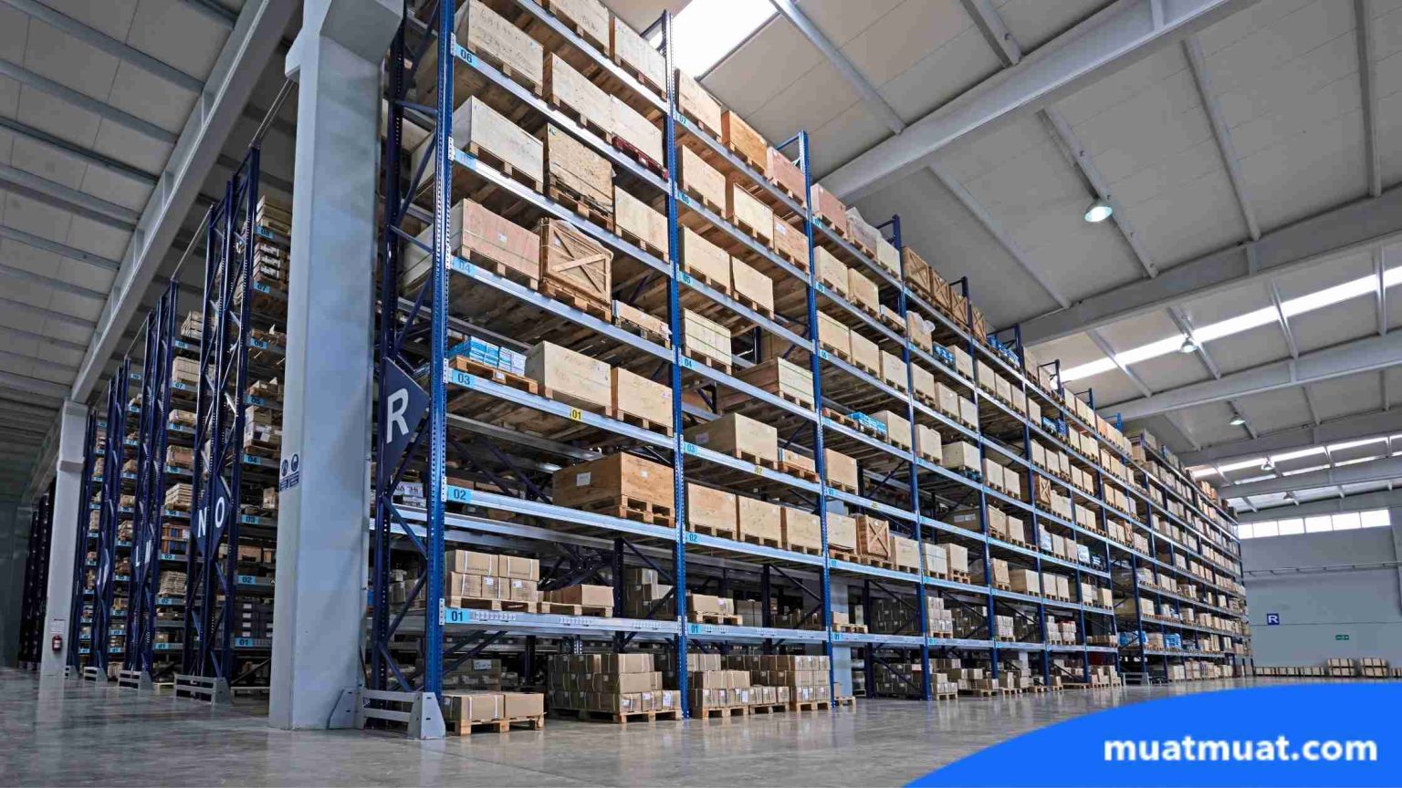 Struktur Warehouse: Penjelasan Lengkap, Contoh Organisasi, dan Sistem ...